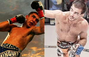 ¿Son más peligrosas las MMA o el boxeo? Los expertos responden - Titan ...