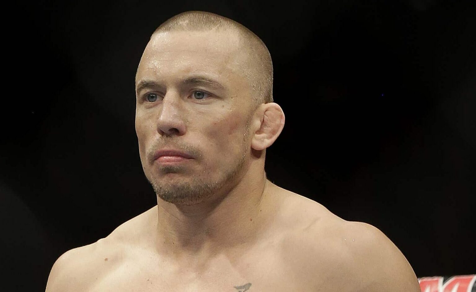 Georges St. Pierre eligió a los siete mejores luchadores de la historia ...